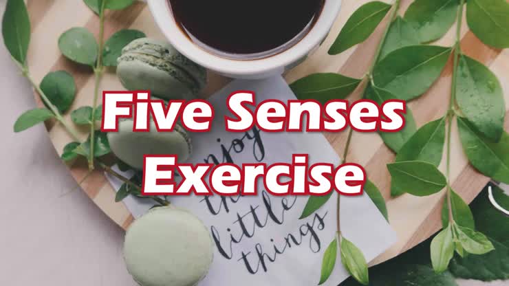 Five Senses Exercise