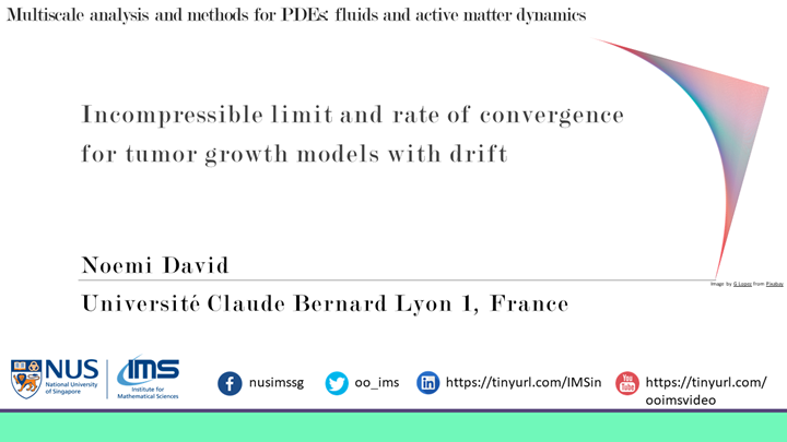 Noemi David - Incompressible limit and rate of convergence for tumor ...