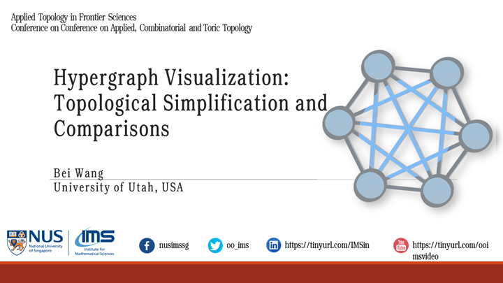 Bei Wang - Hypergraph Visualization: Topological Simplification and Comparisons