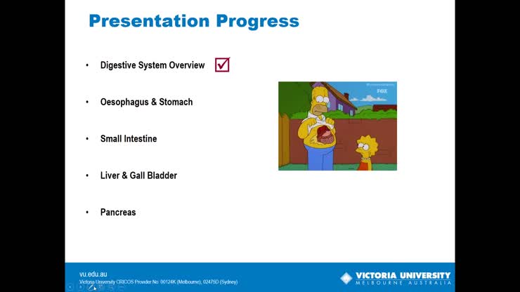 HBO3008 Session 2 Recording Part 2 - Small Intestine & Accessory Organs