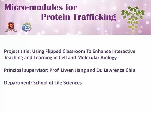 21 - Using Flipped Classroom To Enhance Interactive Teaching and ...