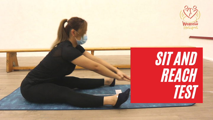 Sit and Reach Test