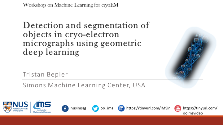 Tristan Bepler - Detection and segmentation of objects in cryo-electron micrographs using ...