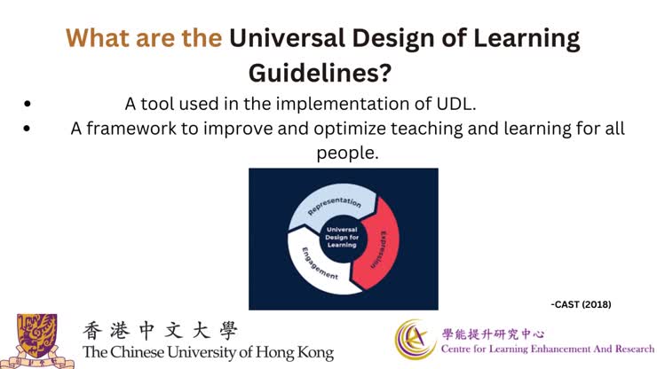 What are the 3 principles of Universal Design for Learning (UDL)?