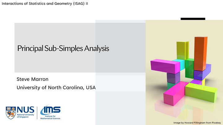 Steve Marron - Principal Sub : Simplex Analysis