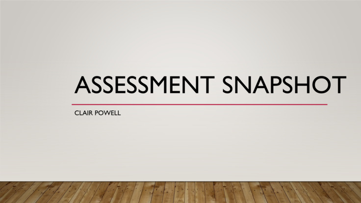 Assessment Snapshot