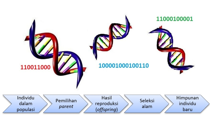 Algoritma Evolusi - Konsep Dasar