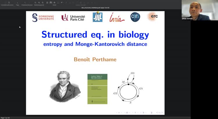 Structured Equations in Biology; Relative Entropy, Monge-Kantorovich ...