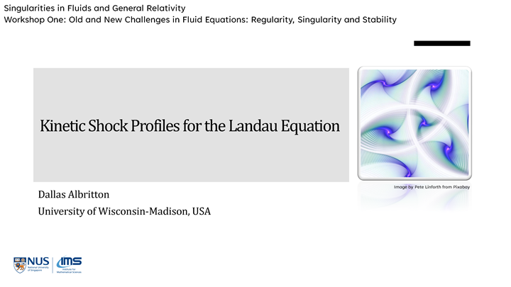 Dallas Albritton - Kinetic Shock Profiles for the Landau Equation