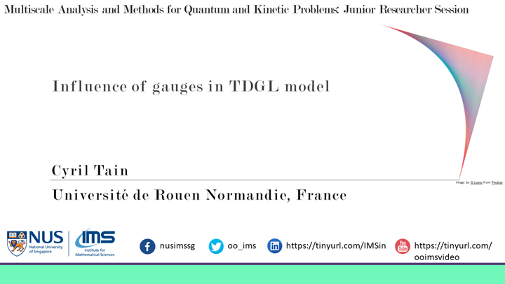 Cyril Tain - Influence of gauges in TDGL model