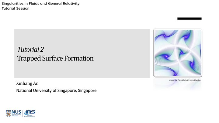Xinliang An - Tutorial 2 Trapped Surface Formation