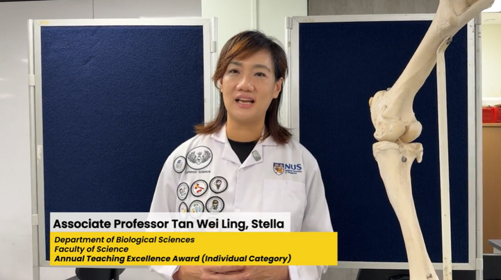 FOS Stella Tan v3