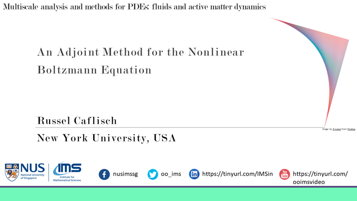 Russel Caflisch - An Adjoint Method for the Nonliner Boltzmann Equation