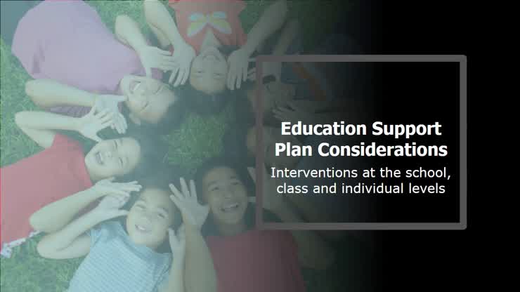 Education support plan at school, class and individual levels