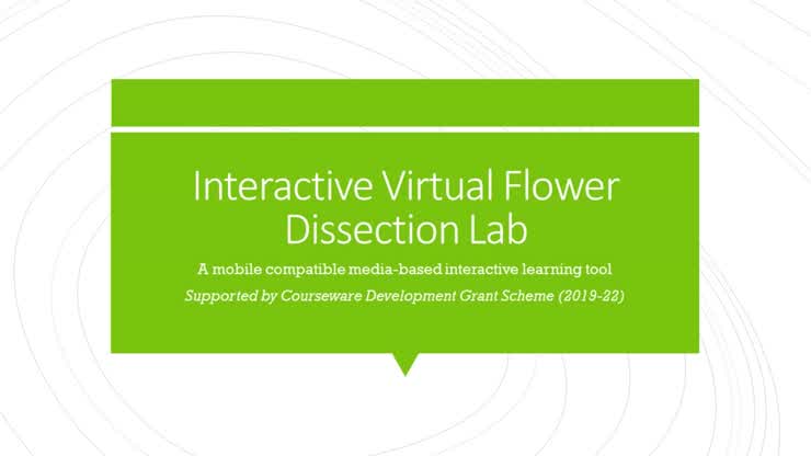 08 - Mobile Device Compatible Web-app - Interactive Virtual Flower ...