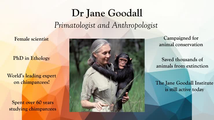 SCE6103- R.Neal 10069242- Jane Goodall