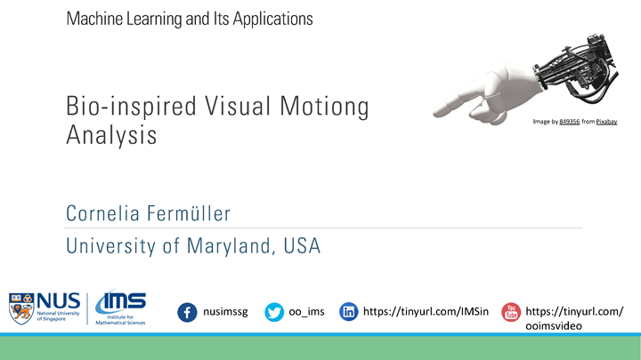 Cornelia Fermüller - Bio-inspired visual motion analysis